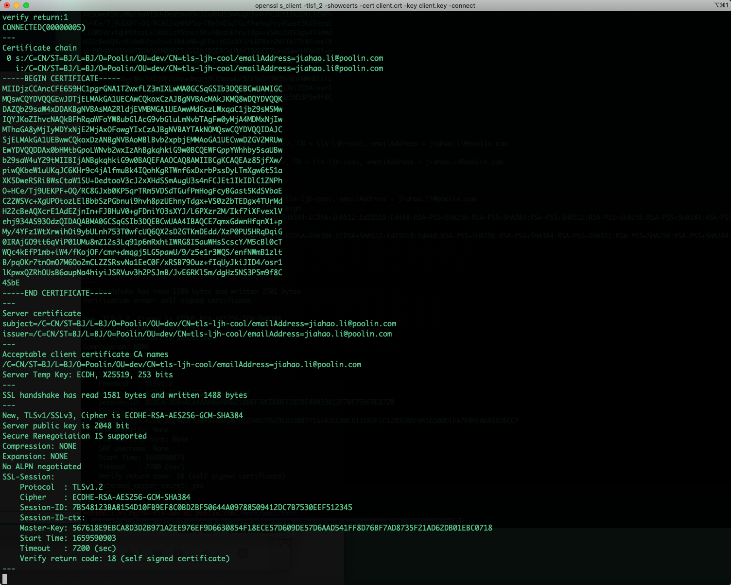 Nginx TLS Blog Of Howell nginx-tls-blog-of-howell